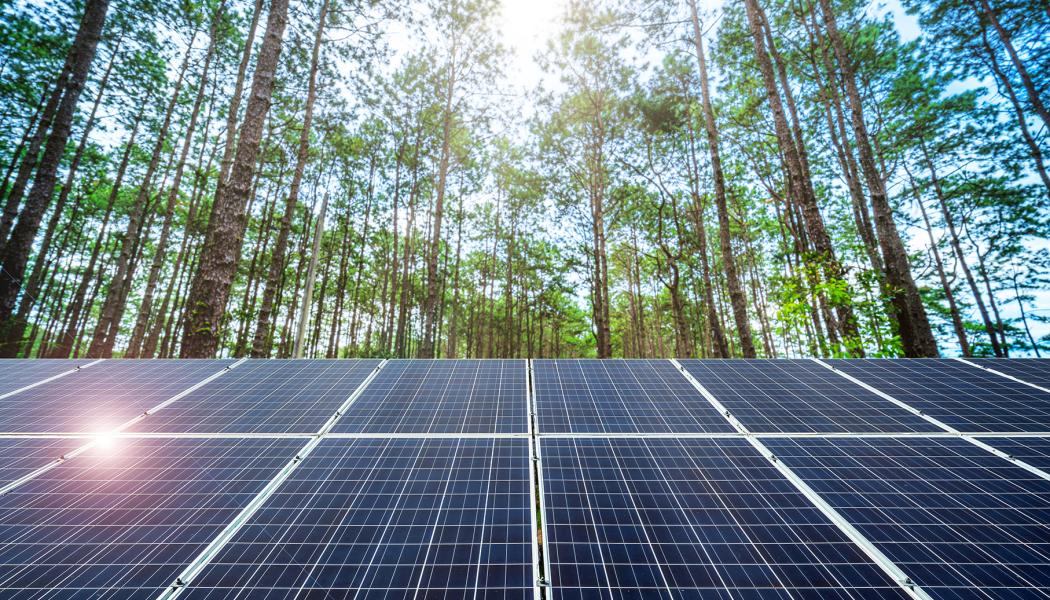 Rottneros bygger Värmlands största solcellspark | SOLENERGInyheter.se