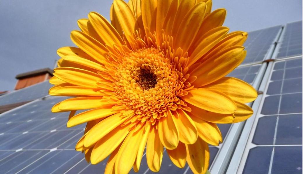 Soltech Energy Solutions tecknar nytt batteriavtal | SOLENERGInyheter.se