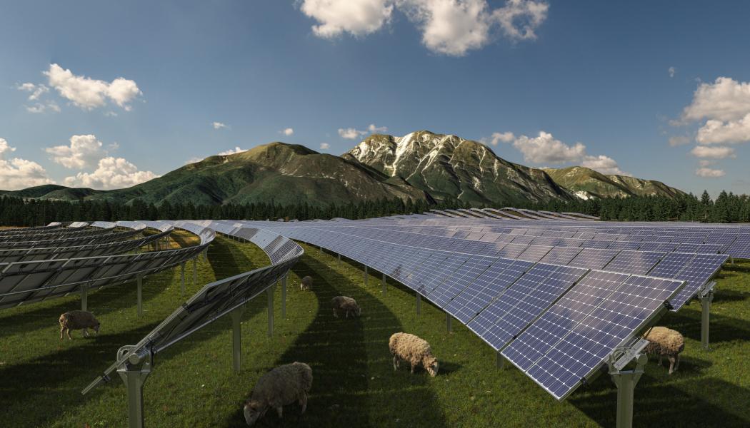 OX2 säljer agri-pv projekt i Frankrike | SOLENERGInyheter.se
